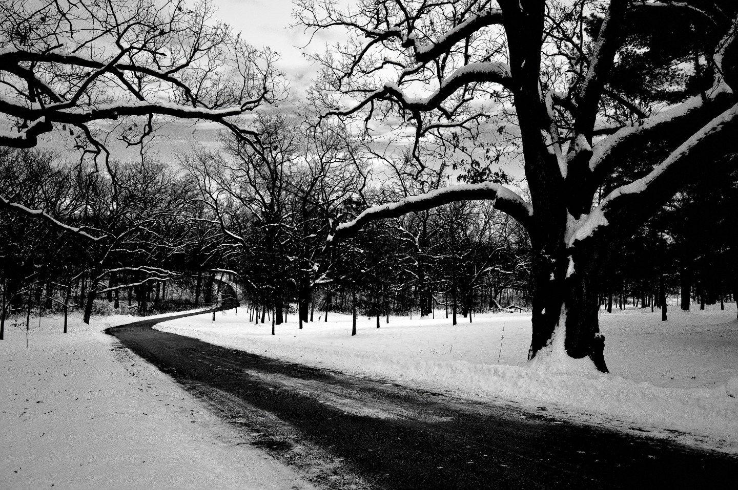 Wordless Wednesday – The Dark Room